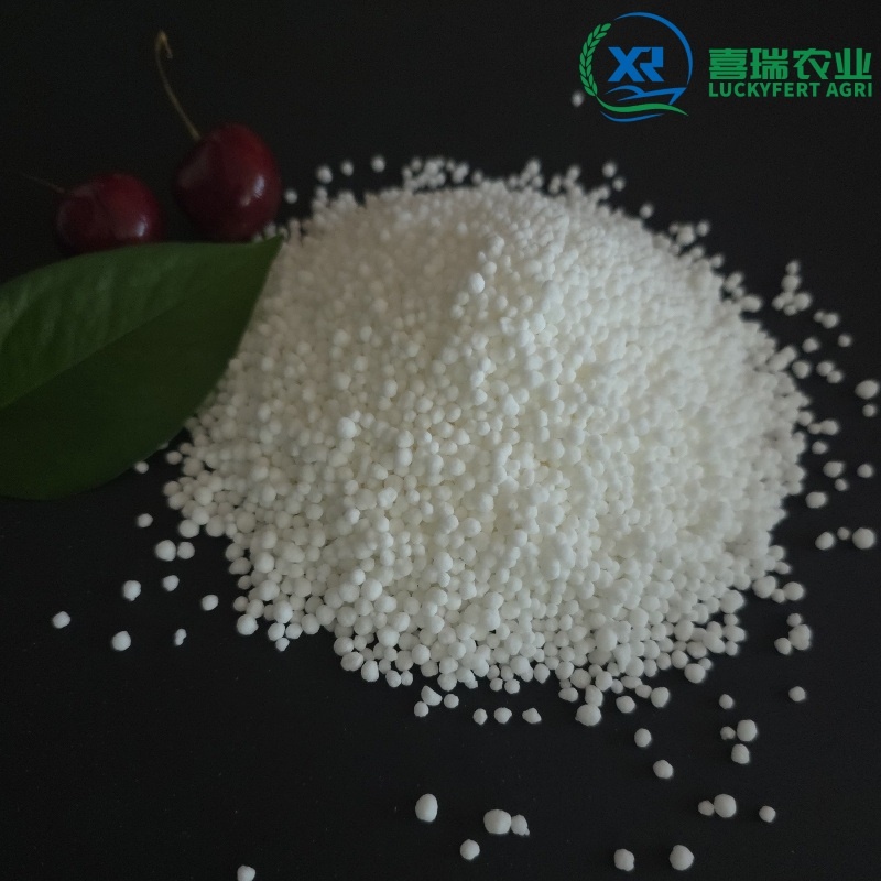 Calcium Nitrate Granular